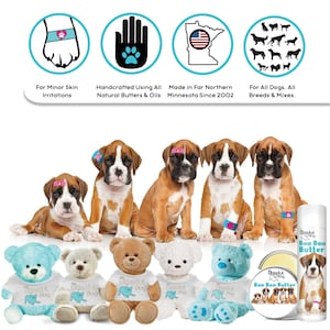 Boxer Duo Essential Care Combo Handcrafted Balms for Dry Dog Noses ...