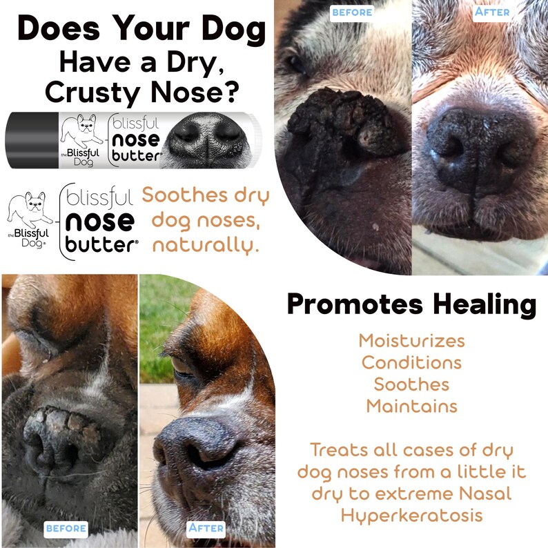 Basset Hound Nose Butter® Handcrafted in Minnesota All Natural Balm for ...