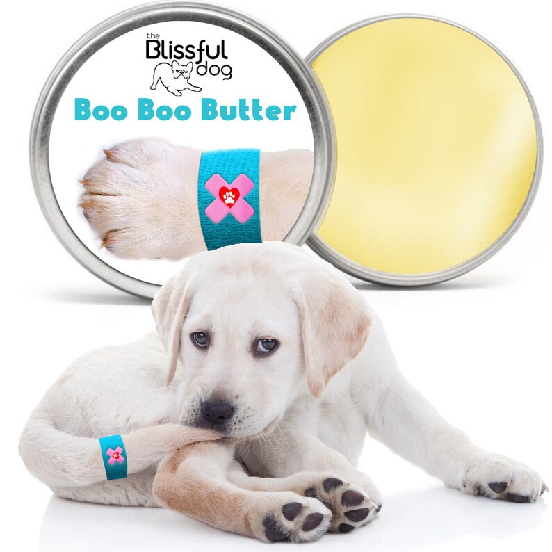 Dog Boo Boo Butter All Natural Handcrafted Herbal Balm Soothes | Etsy