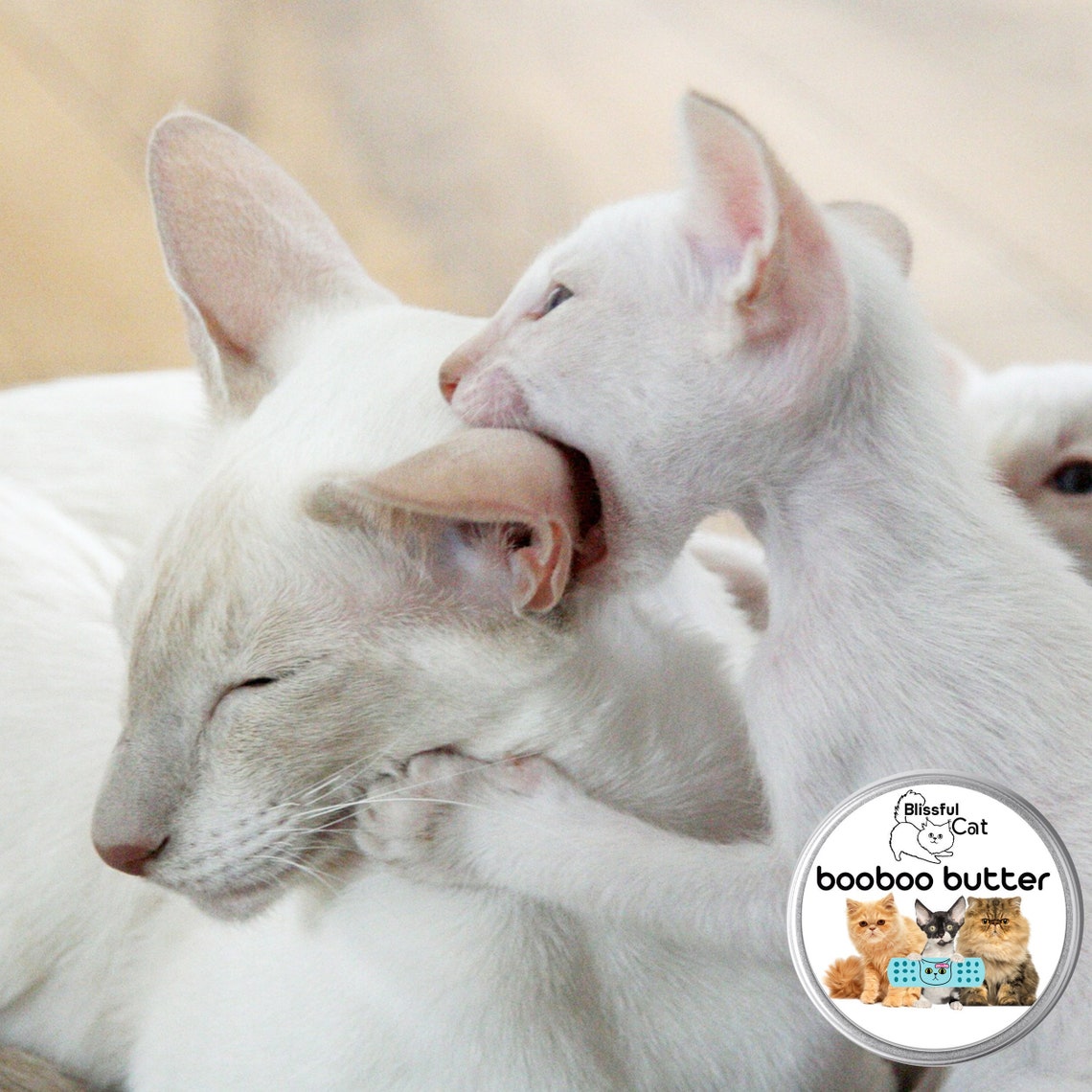 The Blissful Cat Boo Boo Butter All Natural Handcrafted Herbal | Etsy