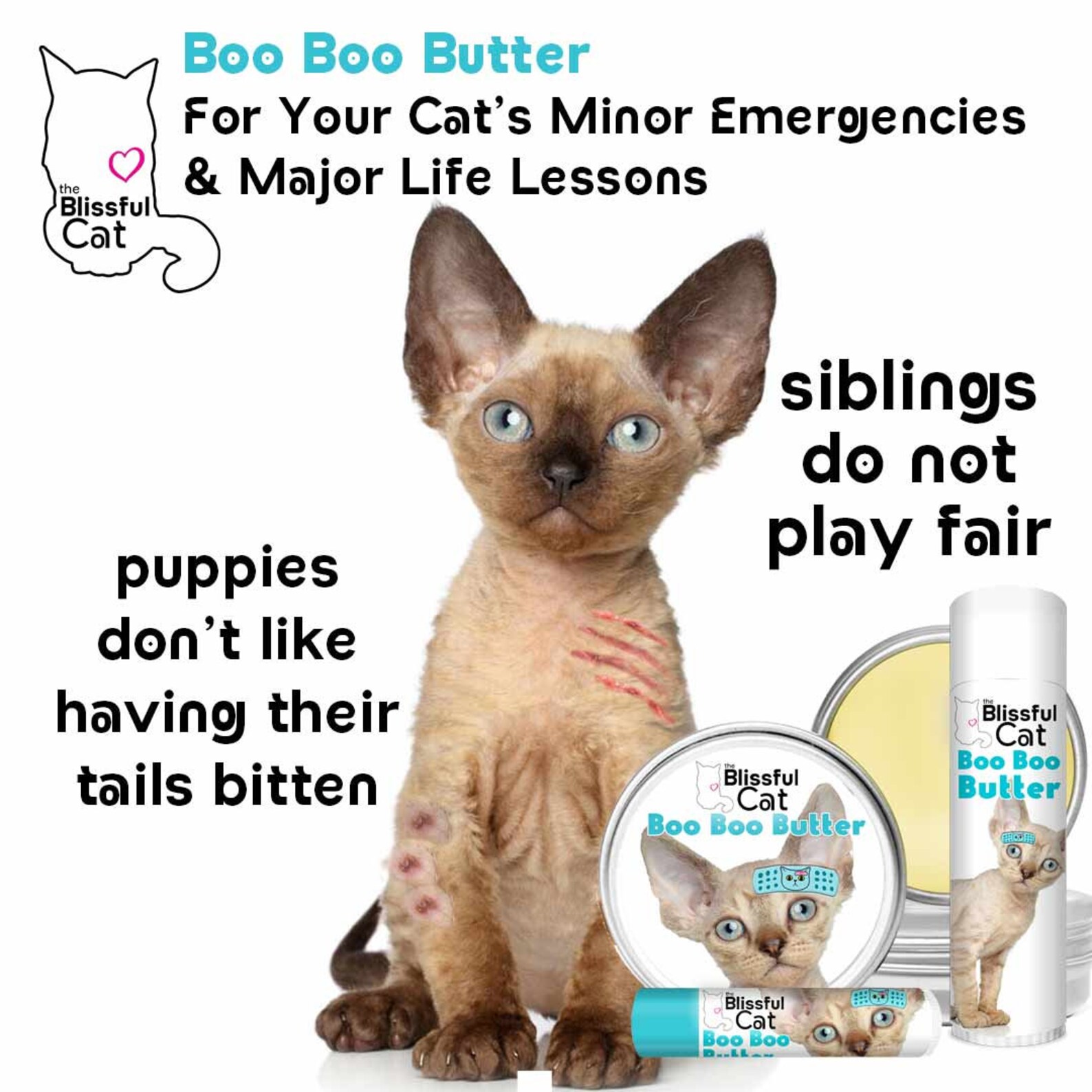 The Blissful Cat Boo Boo Butter All Natural Handcrafted Herbal | Etsy