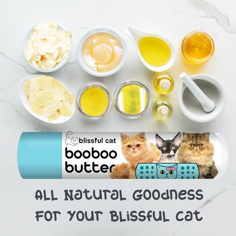 The Blissful Cat Boo Boo Butter All Natural Handcrafted Herbal | Etsy