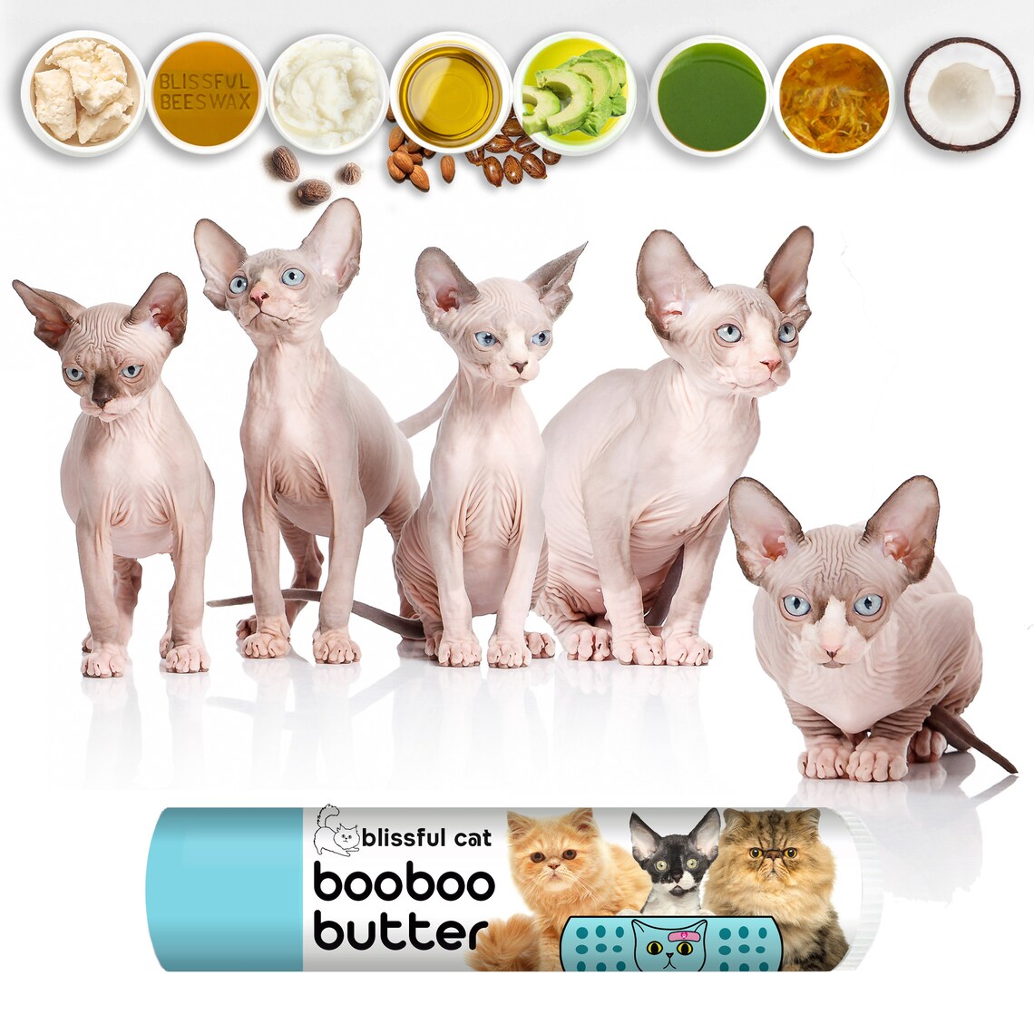 The Blissful Cat Boo Boo Butter All Natural Handcrafted Herbal | Etsy