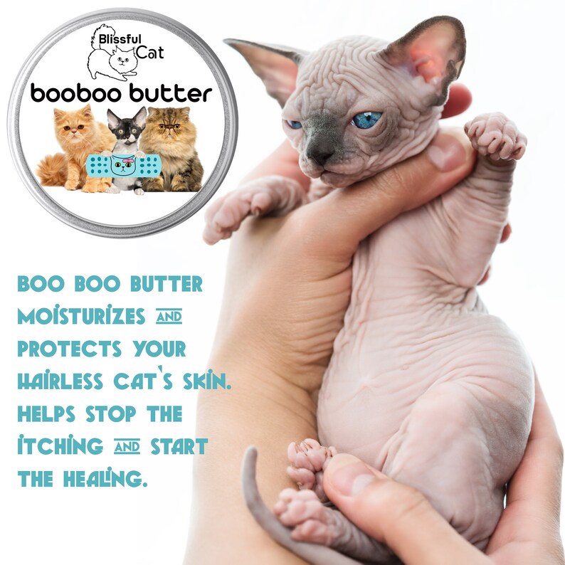 The Blissful Cat Boo Boo Butter All Natural Handcrafted Herbal | Etsy