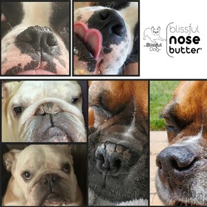 Basset Hound Nose Butter® Handcrafted in Minnesota All Natural Balm for ...