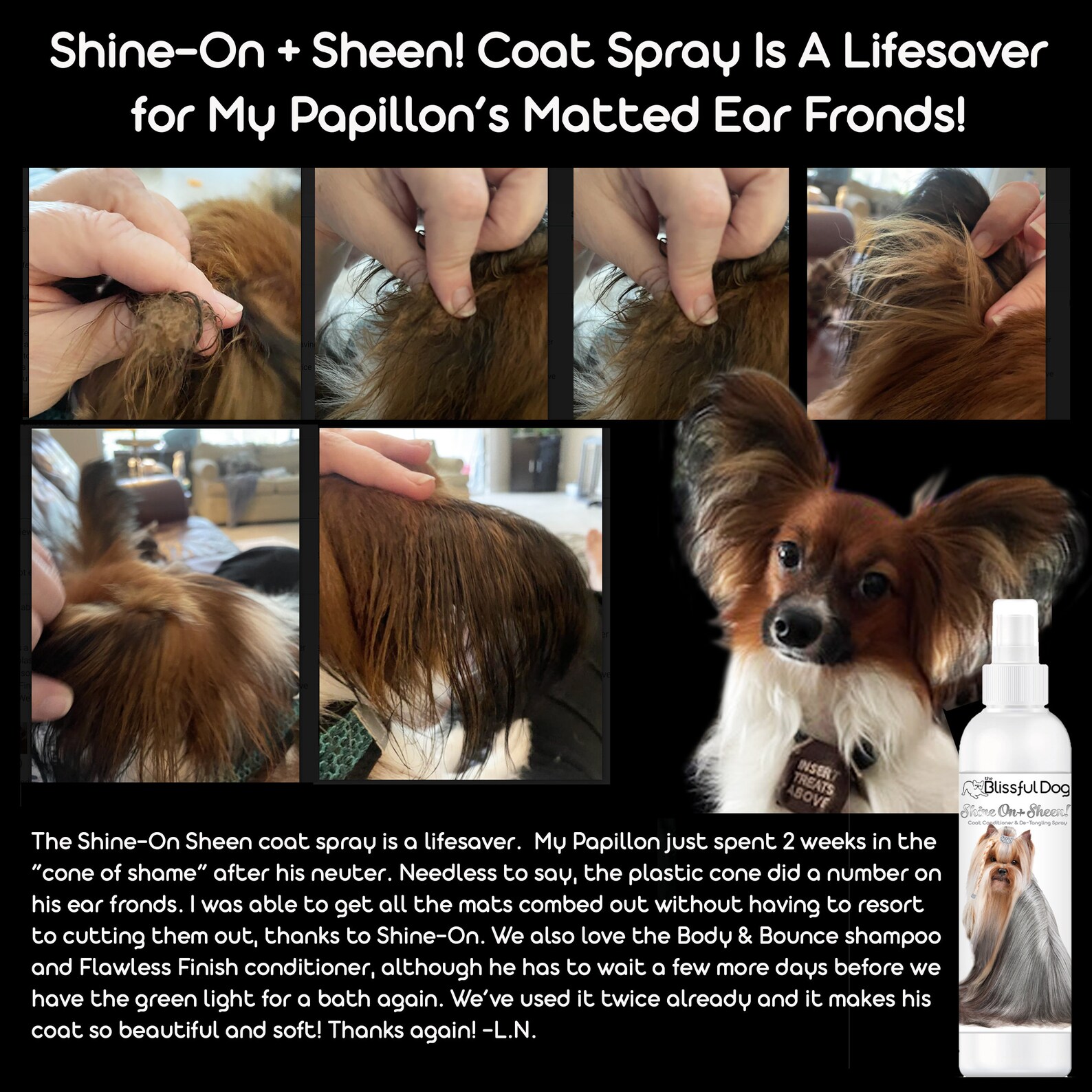 Blissfully Clean Dogs SHINE-ON + SHEEN Dog Coat Spray Leave-in ...