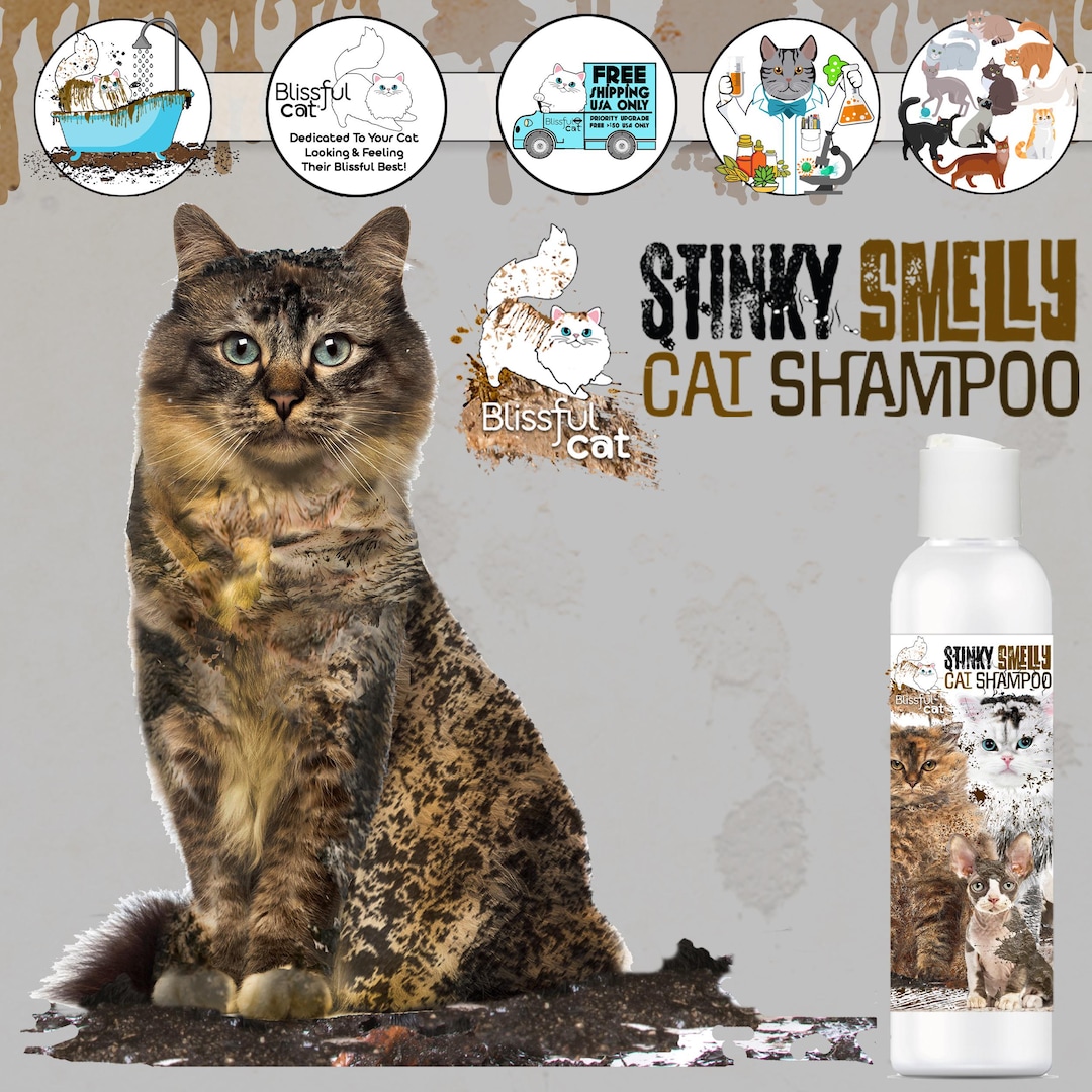 The Blissful Cat Stinky Smelly Cat Shampoo for That Smelly Cat With ...