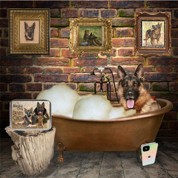 Are German Shepherds Dramatic