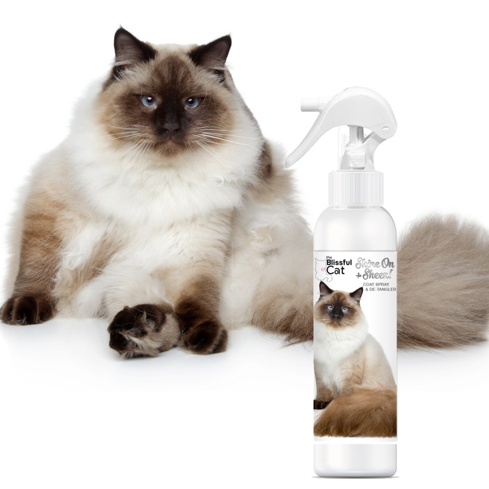 The Blissful Cat Shine-on Sheen Coat Spray Leave-in | Etsy