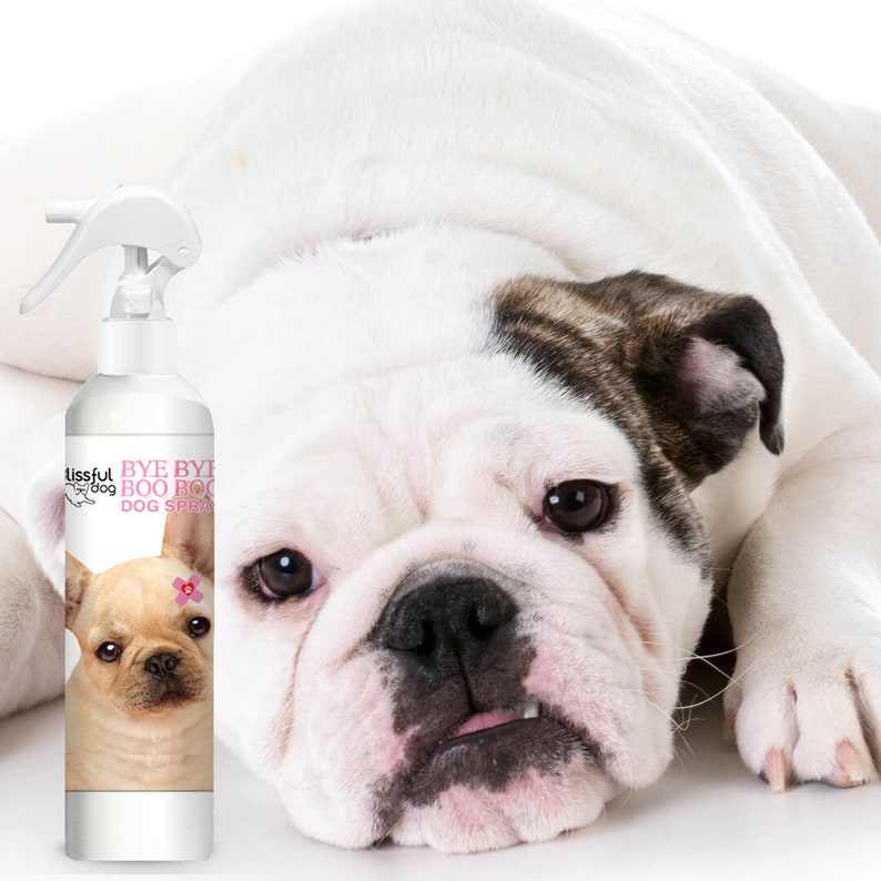 Blissfully Clean Dogs BYE BYE Boo Boo Dog Spray Gentle Herbal - Etsy