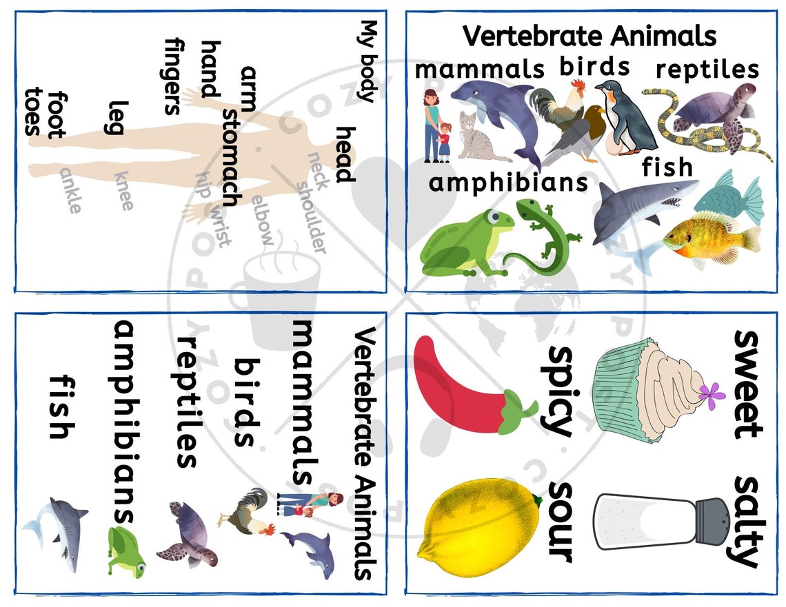 ESL Level 3 Grammar and Vocabulary Cards VIPKID Etc. - Etsy