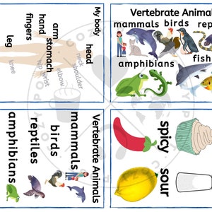 ESL Level 3 Grammar and Vocabulary Cards - VIPKID, Etc. - Etsy