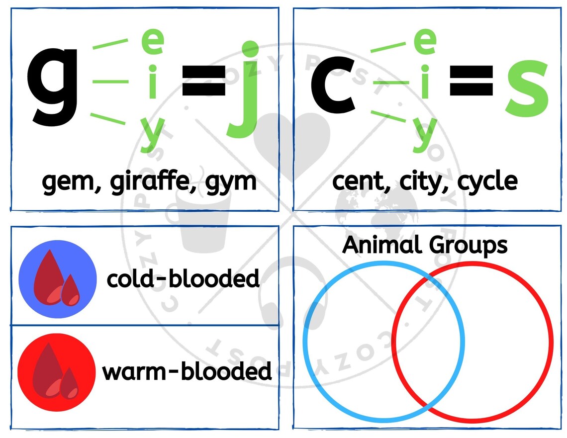 ESL Level 3 Grammar and Vocabulary Cards VIPKID, Etc. - Etsy
