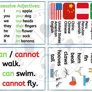 ESL Level 3 Grammar and Vocabulary Cards - VIPKID, Etc. - Etsy