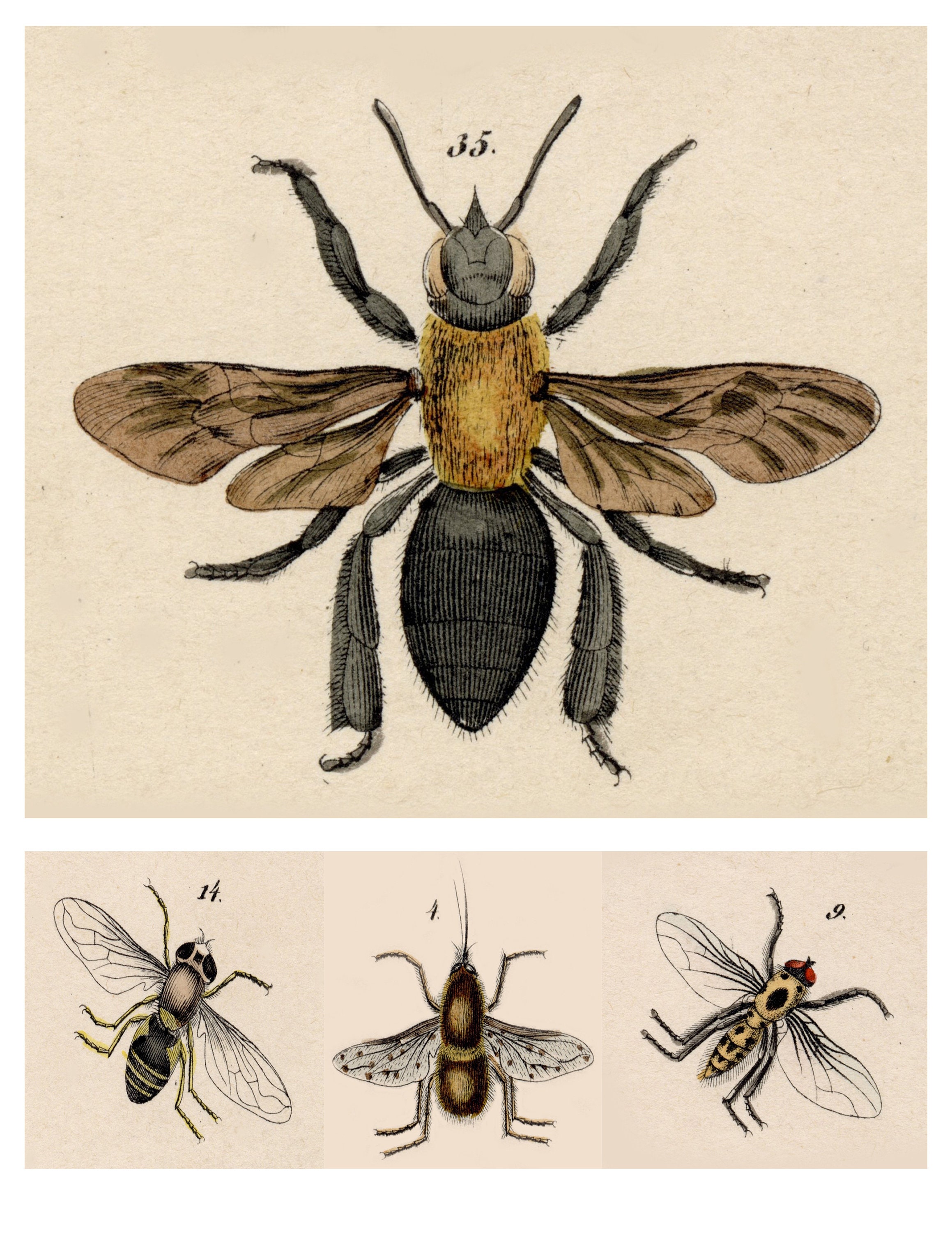 Vintage Bees Collage Papers Instant Download 5 Pages, Shawn Petite ...