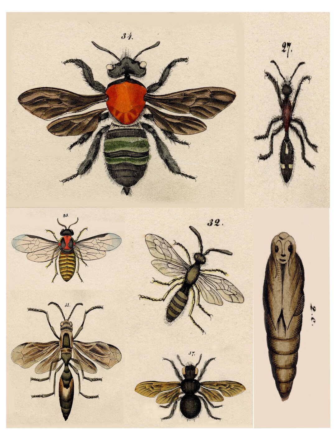 Bees Collage Papers Instant Download 5 Pages, Shawn Petite, Mixed Media ...