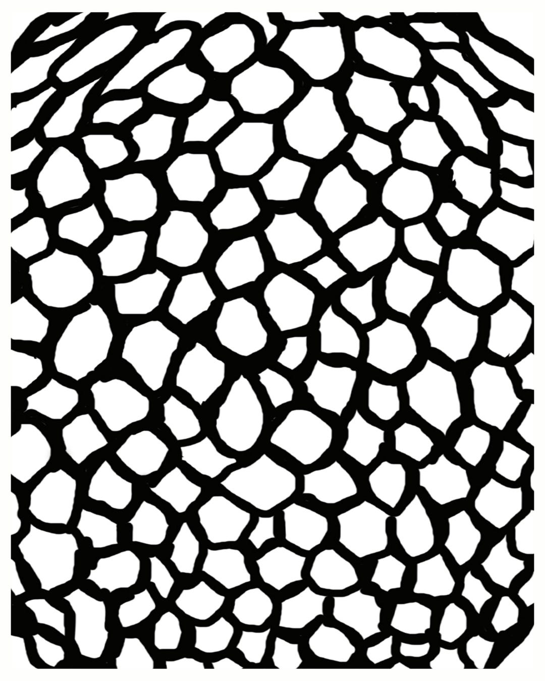 Snakeskin 8x10 Stencil, Crafting, Baking, Kids, Journaling, Art ...