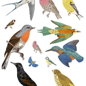 Birds, Birds, Birds Collage Papers Instant Download 5 Pages, Shawn ...