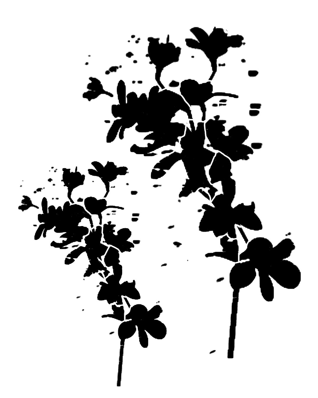 Messy Flower Silhouette 1 8x10 Stencil, Crafting, Baking, Kids ...