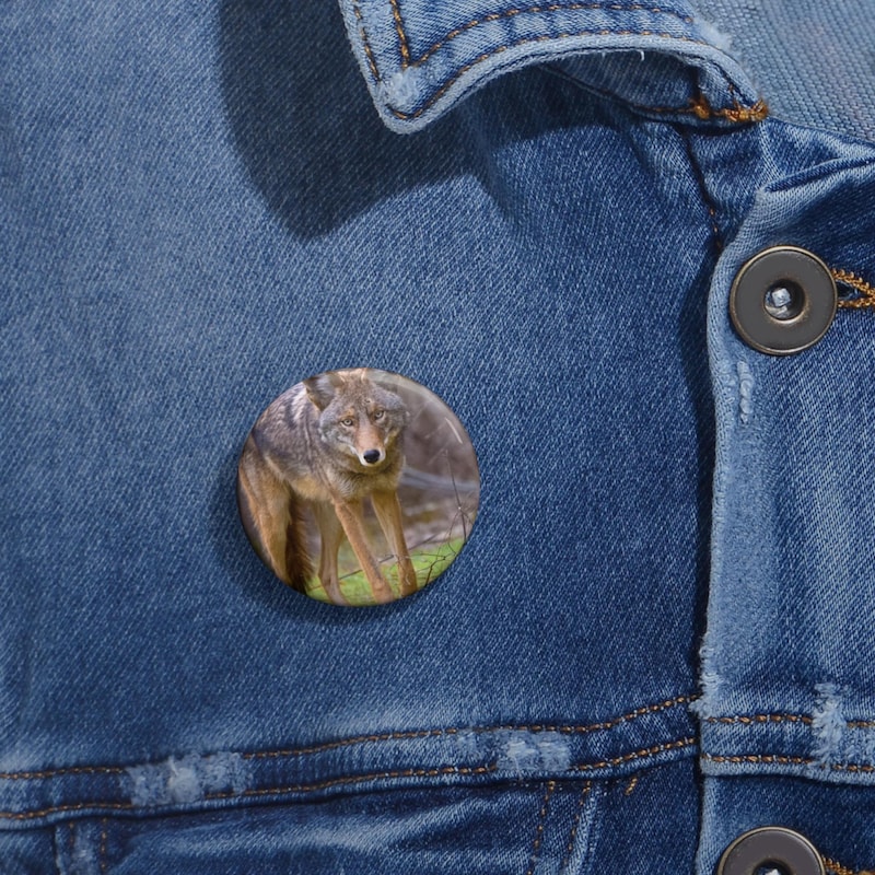 Coyote Enamel Pin - Etsy