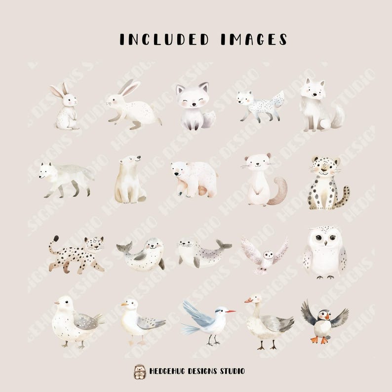 Arctic Animals Watercolor Clipart, Cute Winter Animal PNG, Polar ...