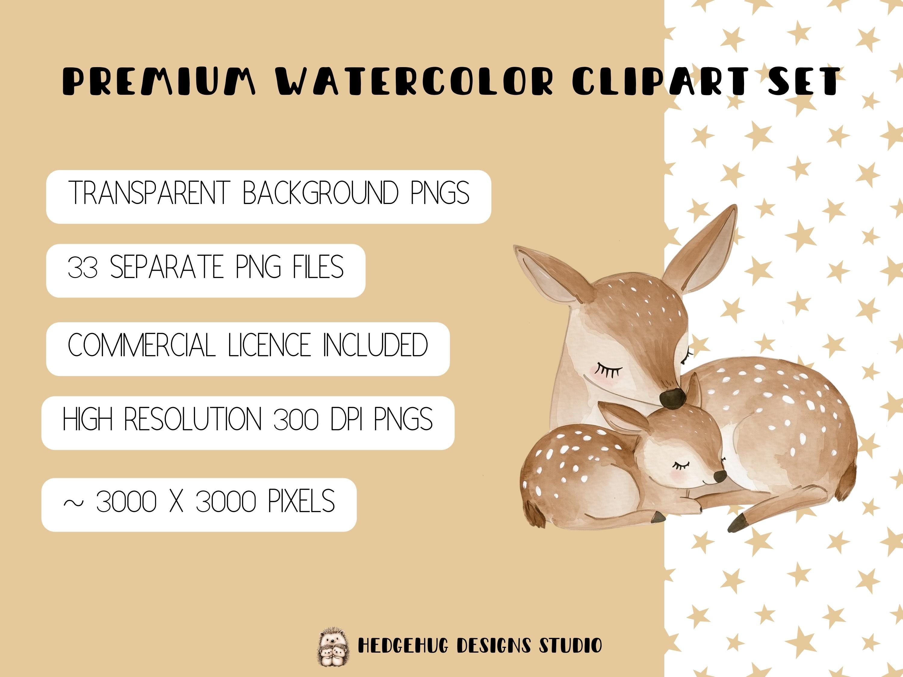 Woodland Mama & Babies Watercolor Clipart, Cute Forest Animal Pngs ...