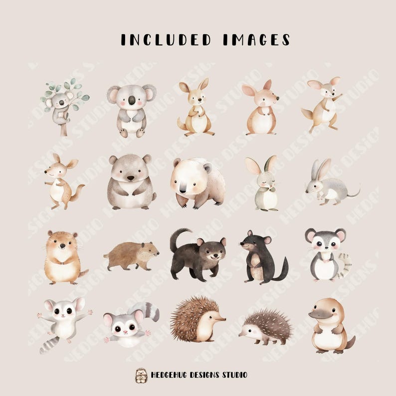 Cute Australian Animals Clipart, Watercolor Aussie Wildlife, Bush Baby ...