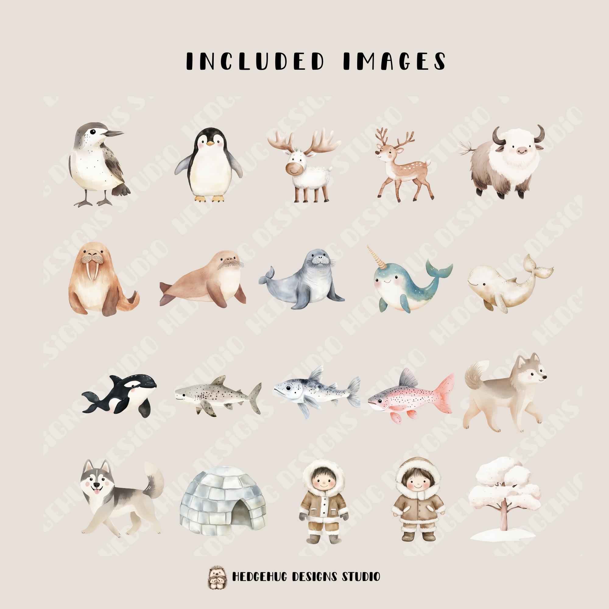 Arctic Animals Watercolor Clipart, Cute Winter Animal PNG, Polar ...