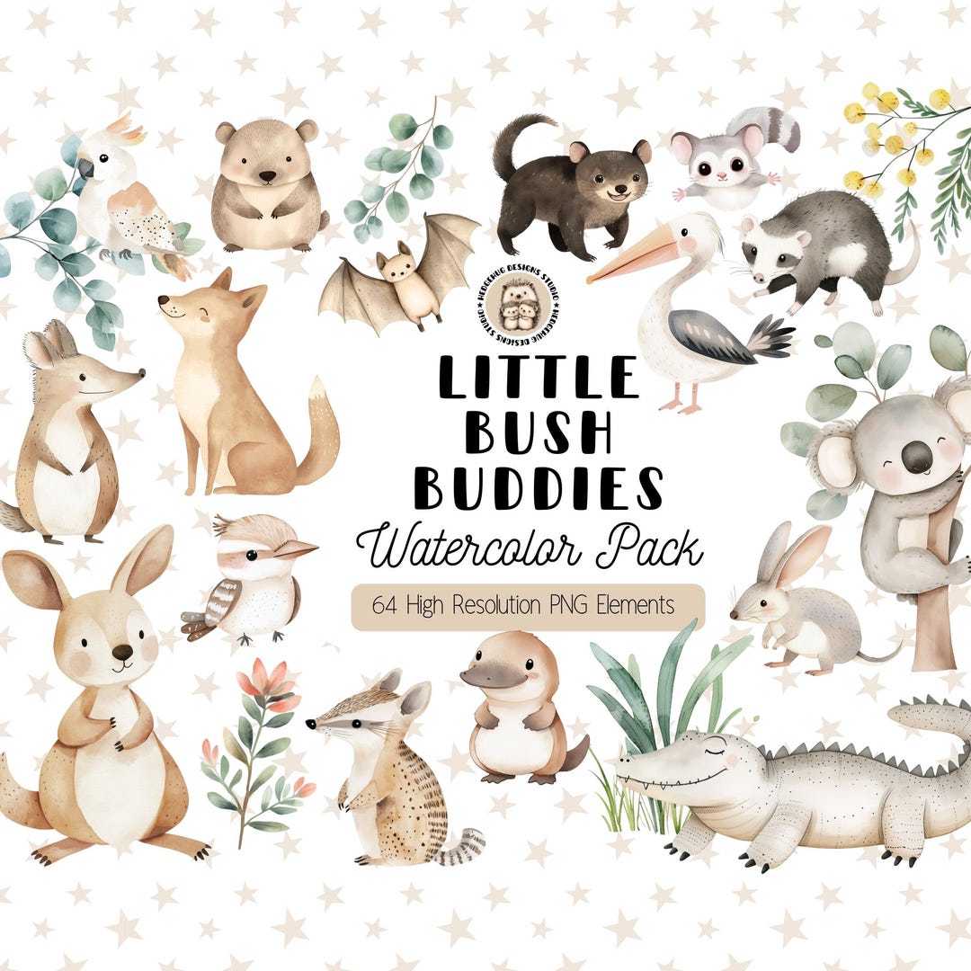 Cute Australian Animals Clipart, Watercolor Aussie Wildlife, Bush Baby ...