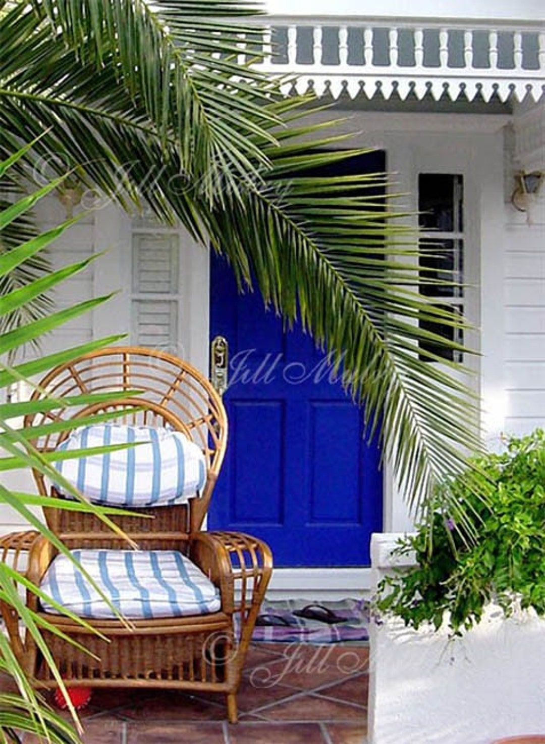 Fronds and Stripes - Key West - Beach Cottage 11x14 Mat Print - Etsy