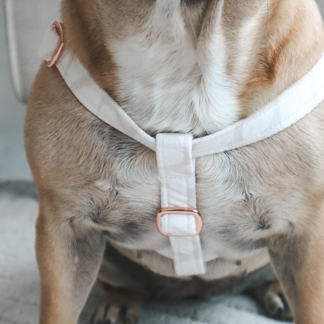Beige Aesthetic Cotton Dog Harness Adjustable, Durable & Stylish Step ...