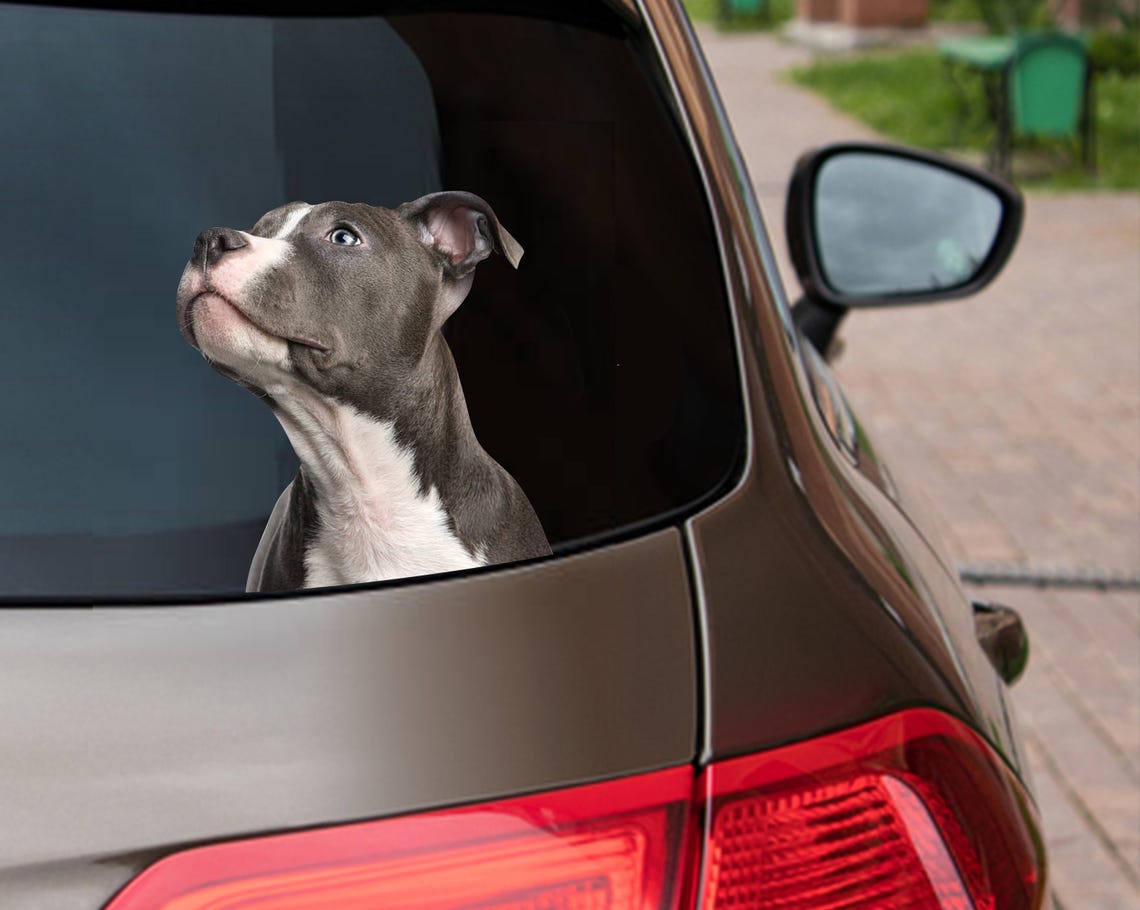 Car Window Sticker / Decal / Waterproof Vinyl Decor / Funny Dog - Etsy