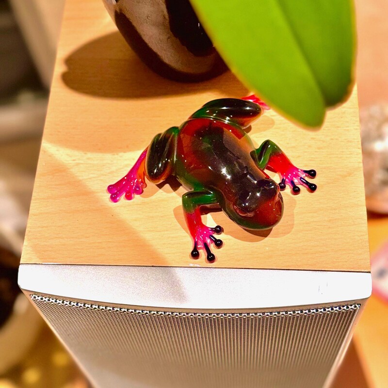 Frog Night Light - Etsy