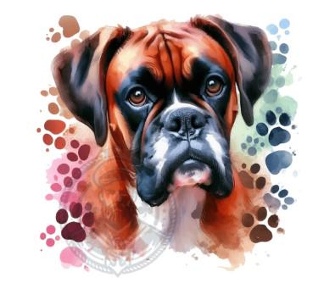 Boxer Dog Clip Art Design, Paw Print Digital Download, PNG File, T ...