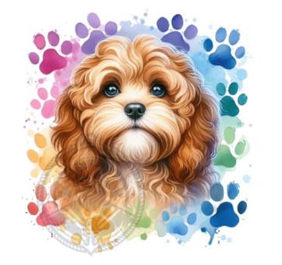 Golden Cavapoo Dog Clip Art Design Paw Print Digital Download PNG File ...