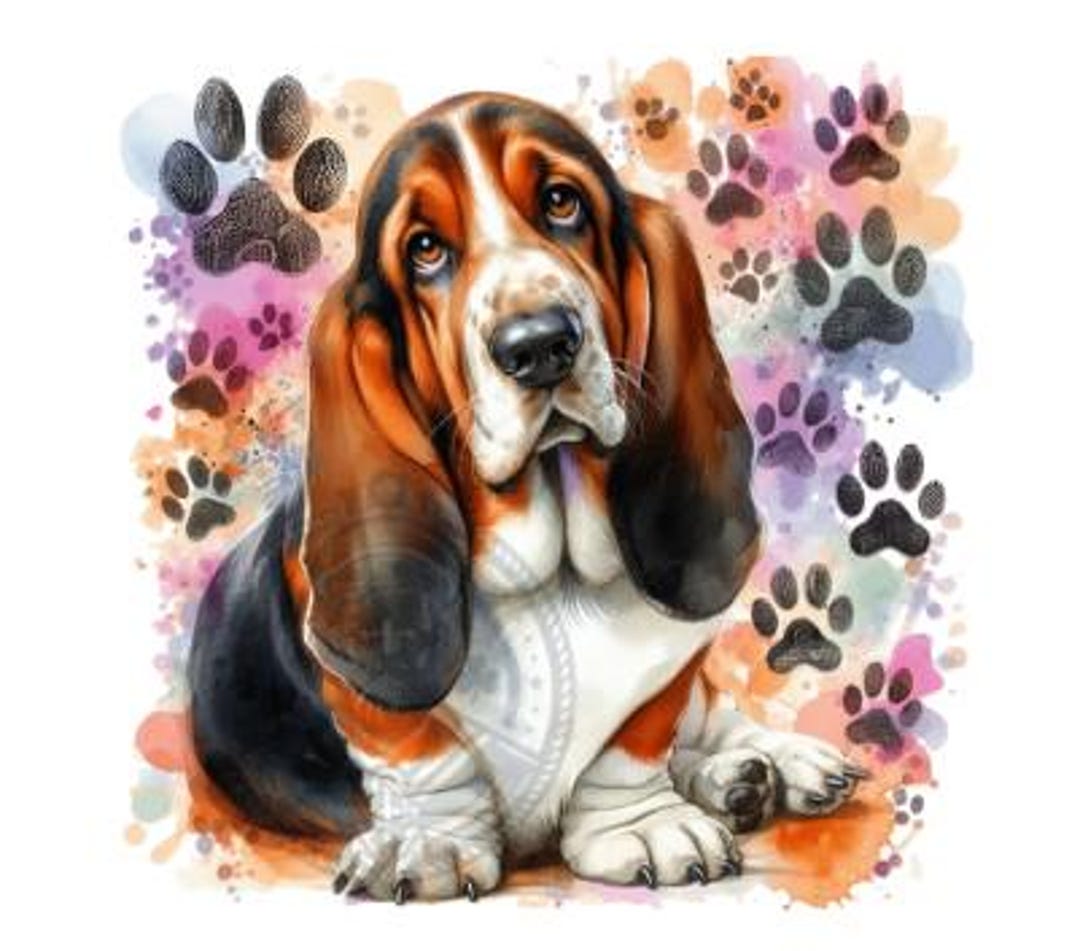 Bassett Hound Dog Clip Art Design, Paw Print Digital Download, PNG File ...