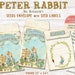 Peter Rabbit Seeds Packet, Mr. Mcgregor's Garden Seeds, Peter Rabbit ...