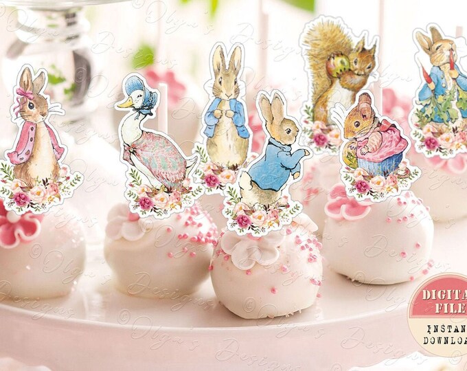 Peter Rabbit Cake Toppers, Peter Rabbit Birthday Party, Peter Rabbit ...