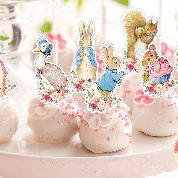 Peter Rabbit Cake Topper - Etsy