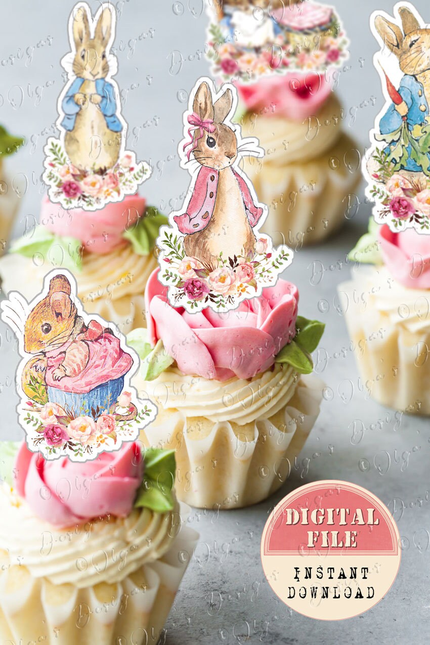 Peter Rabbit Cake Toppers Peter Rabbit Birthday Party Peter - Etsy