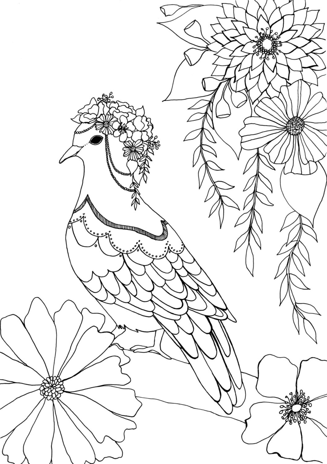 Fancy Pigeon Colouring Page - Etsy
