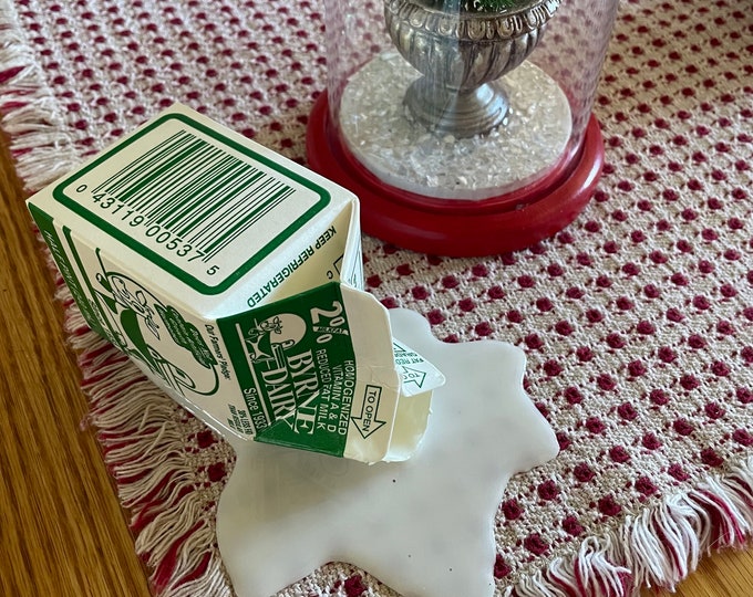 Spilled Carton of Milk Fun Fake Food Photo Prop - Etsy