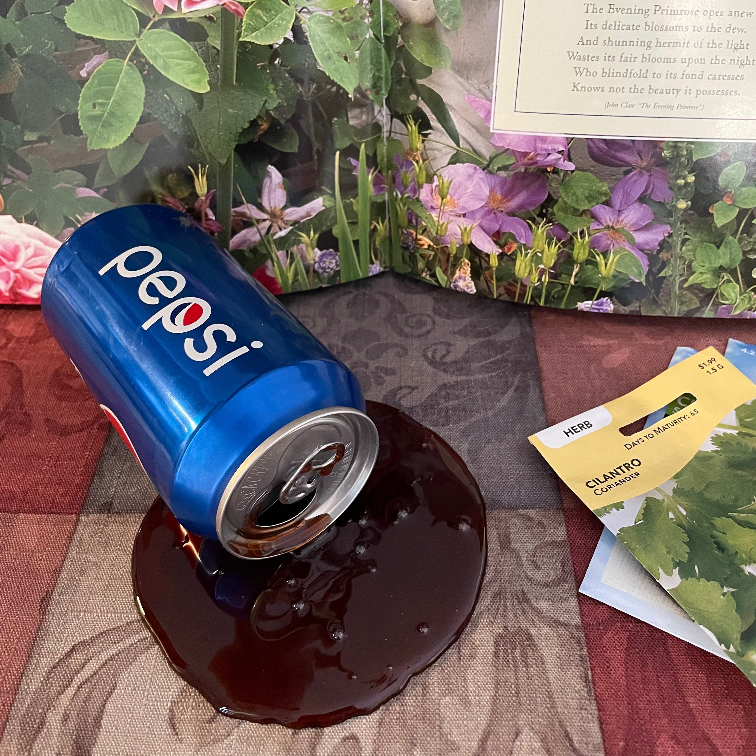 Choose Your Favorite Can of Spilled Pepsi Fake Food Photo Prop - Etsy