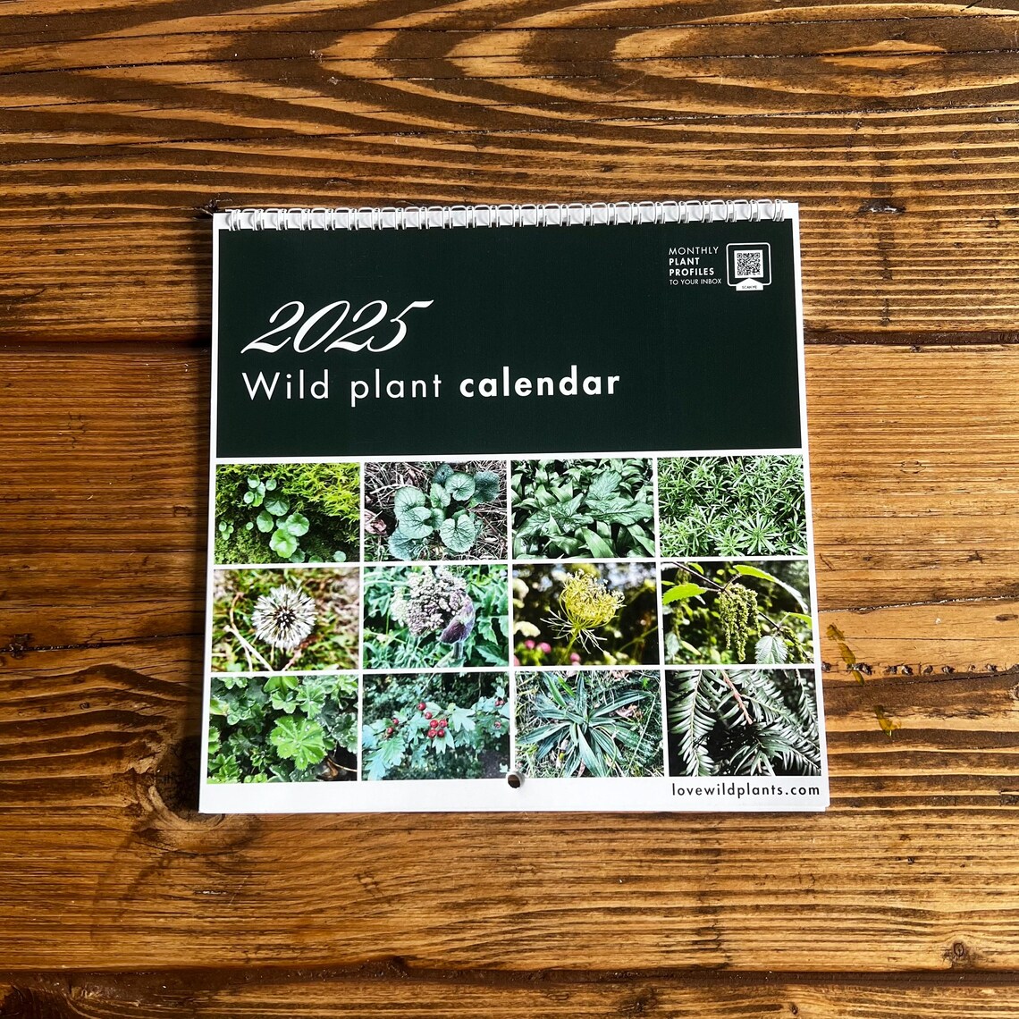 Wild Plant Calendar 2025 - Etsy