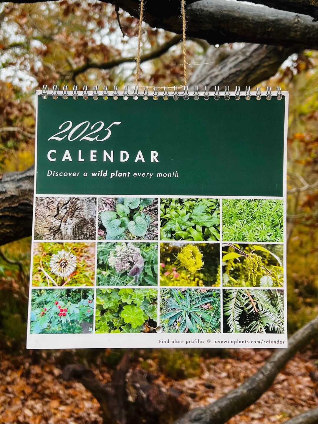 Wild Plant Calendar 2025 - Etsy