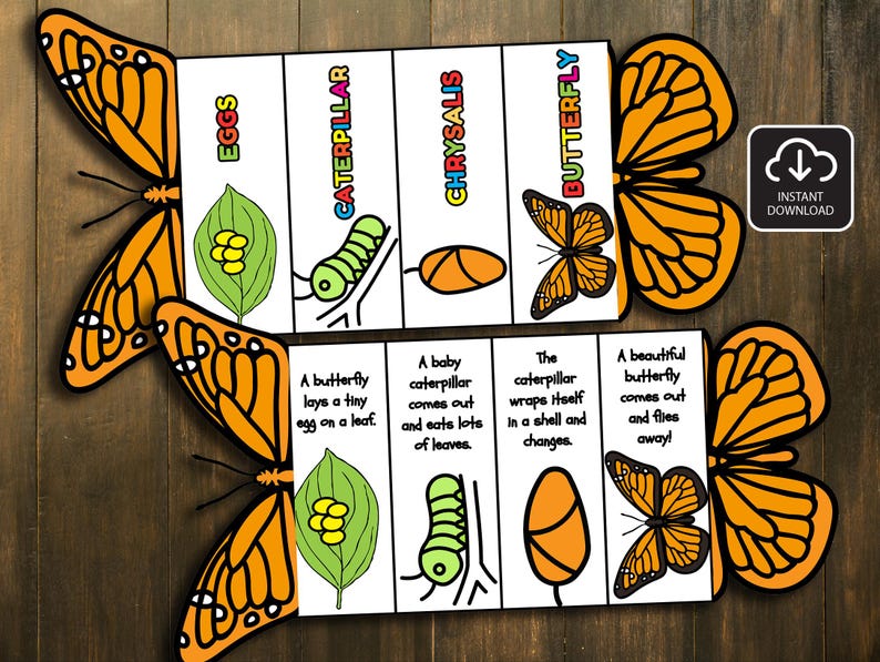 Life Cycle of a Butterfly Foldable Kids' Craft, Digital Download ...