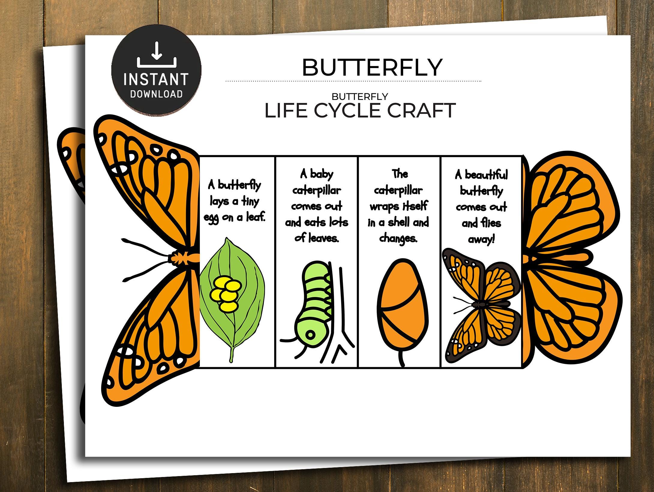 Life Cycle of a Butterfly Foldable Kids' Craft, Digital Download ...