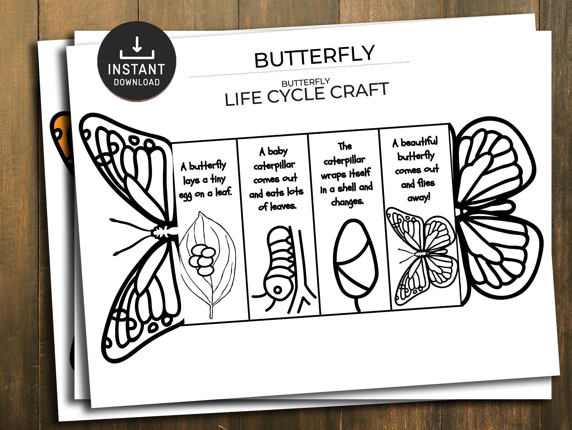 Life Cycle of a Butterfly Foldable Kids' Craft, Digital Download ...