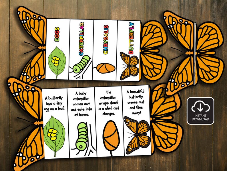 Life Cycle of a Butterfly Foldable Kids' Craft, Digital Download ...