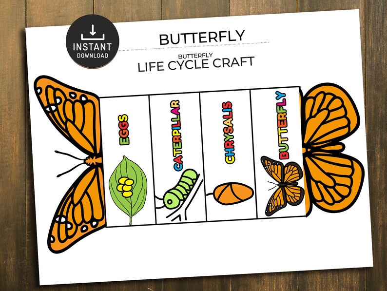 Life Cycle of a Butterfly Foldable Kids' Craft, Digital Download ...